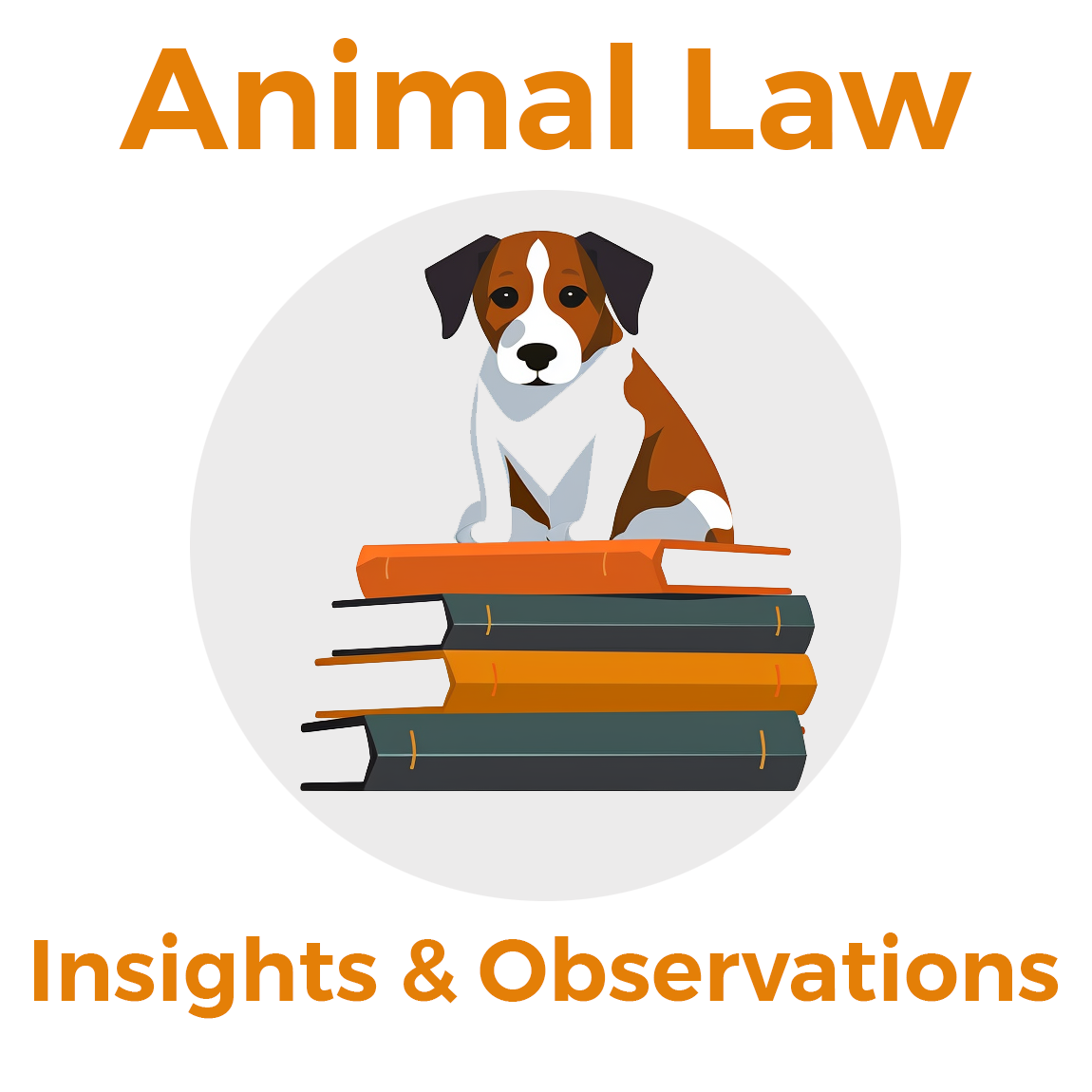 Animal Law: Insights and Observations